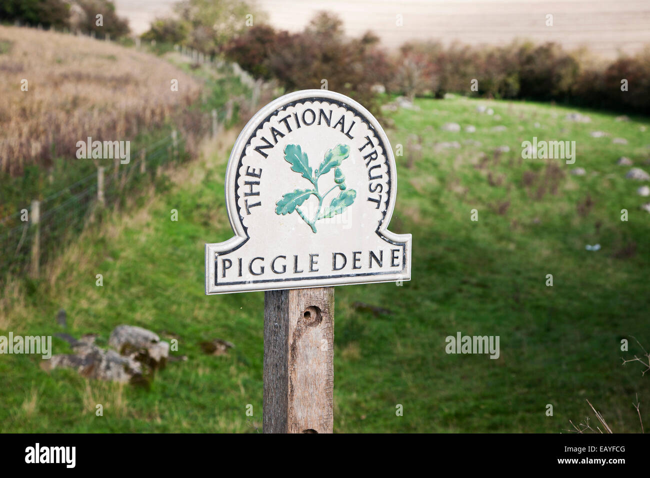Lockeridge dene and piggledene hi-res stock photography and images - Alamy