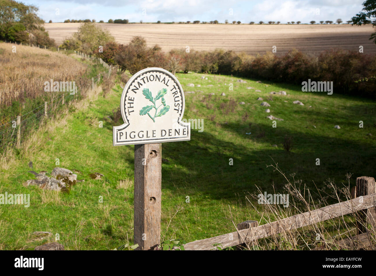 Piggle Dene is a National Trust area of chalk dry valley with sarsen ...
