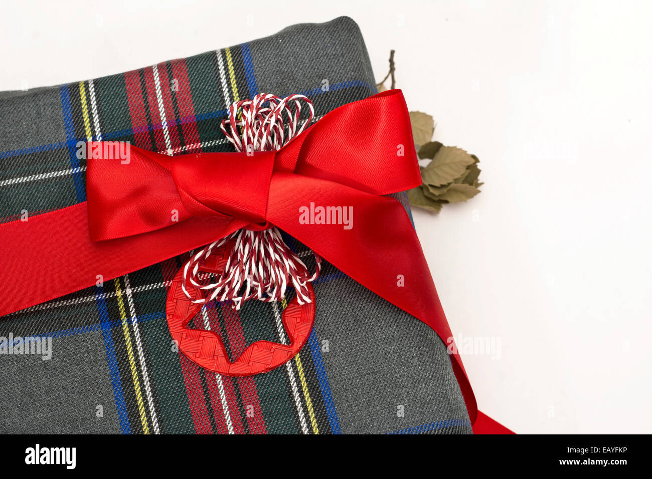 present, wrapped in plaid, red tie and decorative star on isolated ...