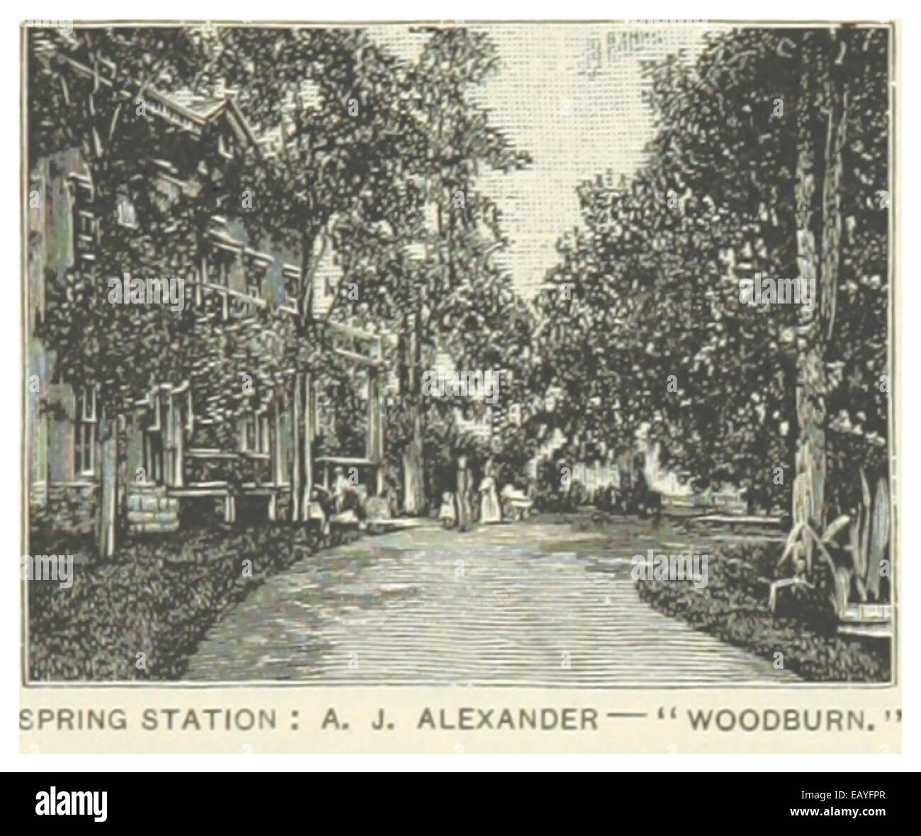 An 1891 map depicting Spring Station in Woodburn, Kentucky, home to A.J ...