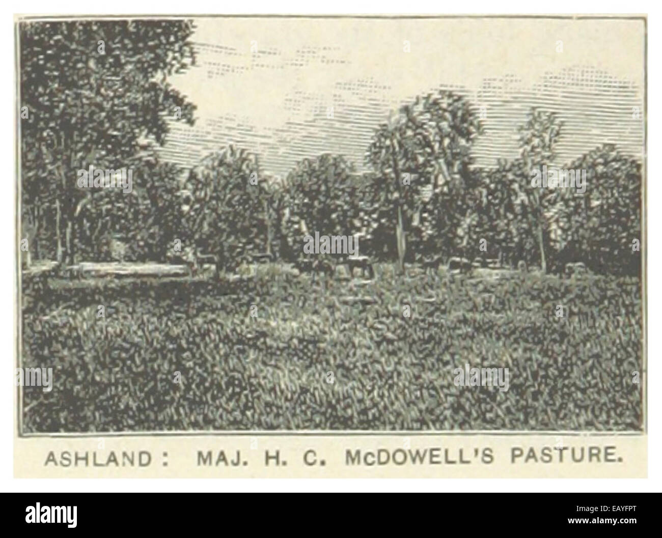 Agricultural land 1800s hi-res stock photography and images - Alamy