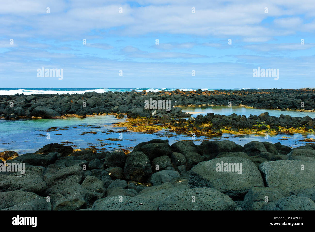 Robe Town,Great Ocean Rd,Seascapes,Canunada National Park,Empty Beaches ...