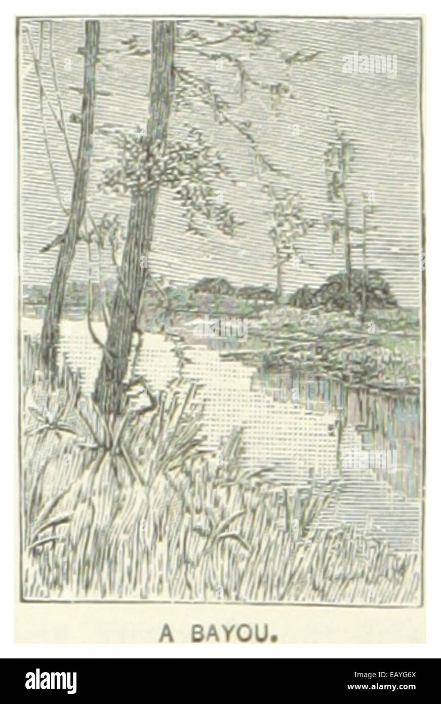 An 1891 illustration of a bayou in Louisiana, capturing the natural ...