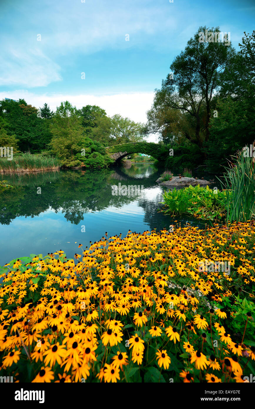 Central Park Spring with flower in midtown Manhattan New York City ...
