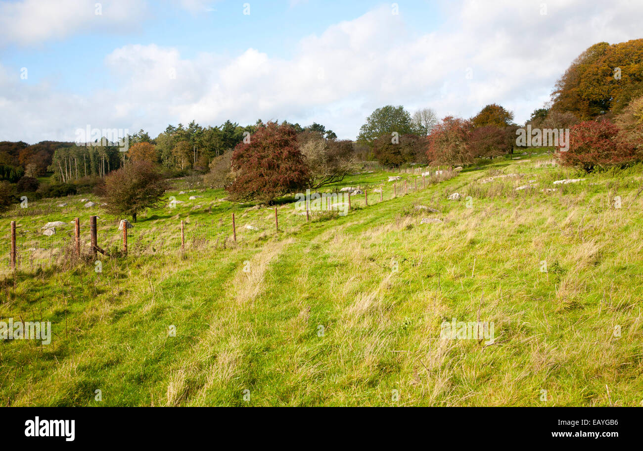 Fyfield down national nature reserve hi-res stock photography and ...
