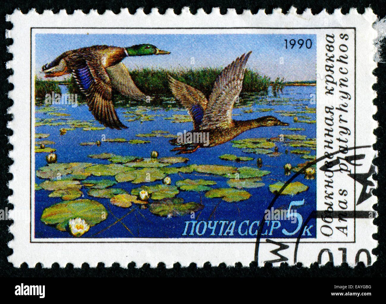 Postage stamp ussr 1990 hi-res stock photography and images - Alamy