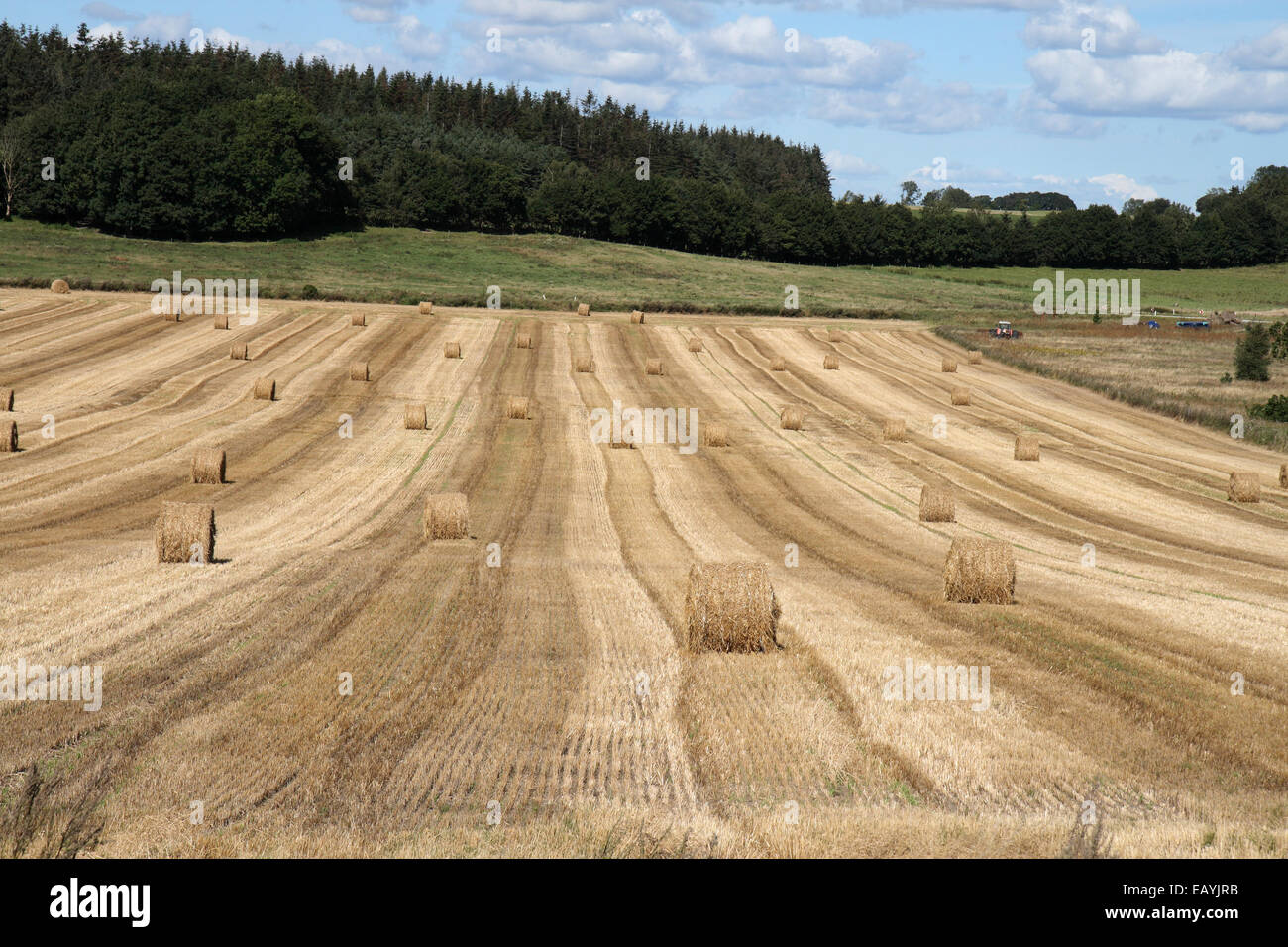 From a field at Djursland near Ebeltoft, Denmark Stock Photo - Alamy