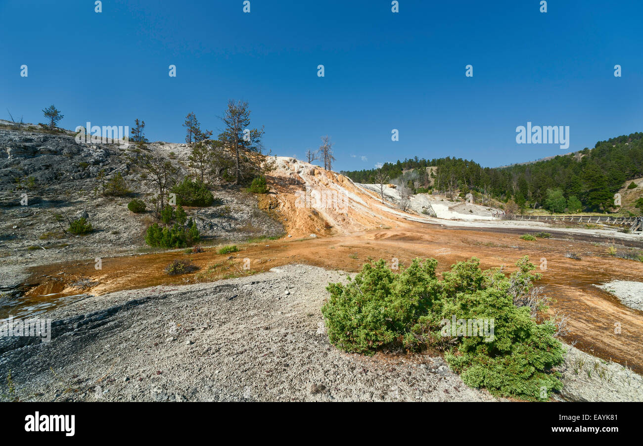 Calcium Carbonate deposits from hot springs in the heart of Yellowstone ...
