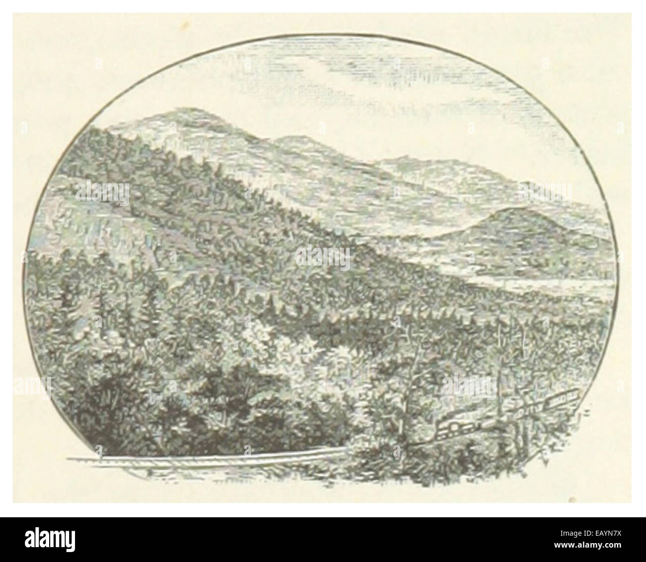 Tryon i Cut Out Stock Images & Pictures - Alamy