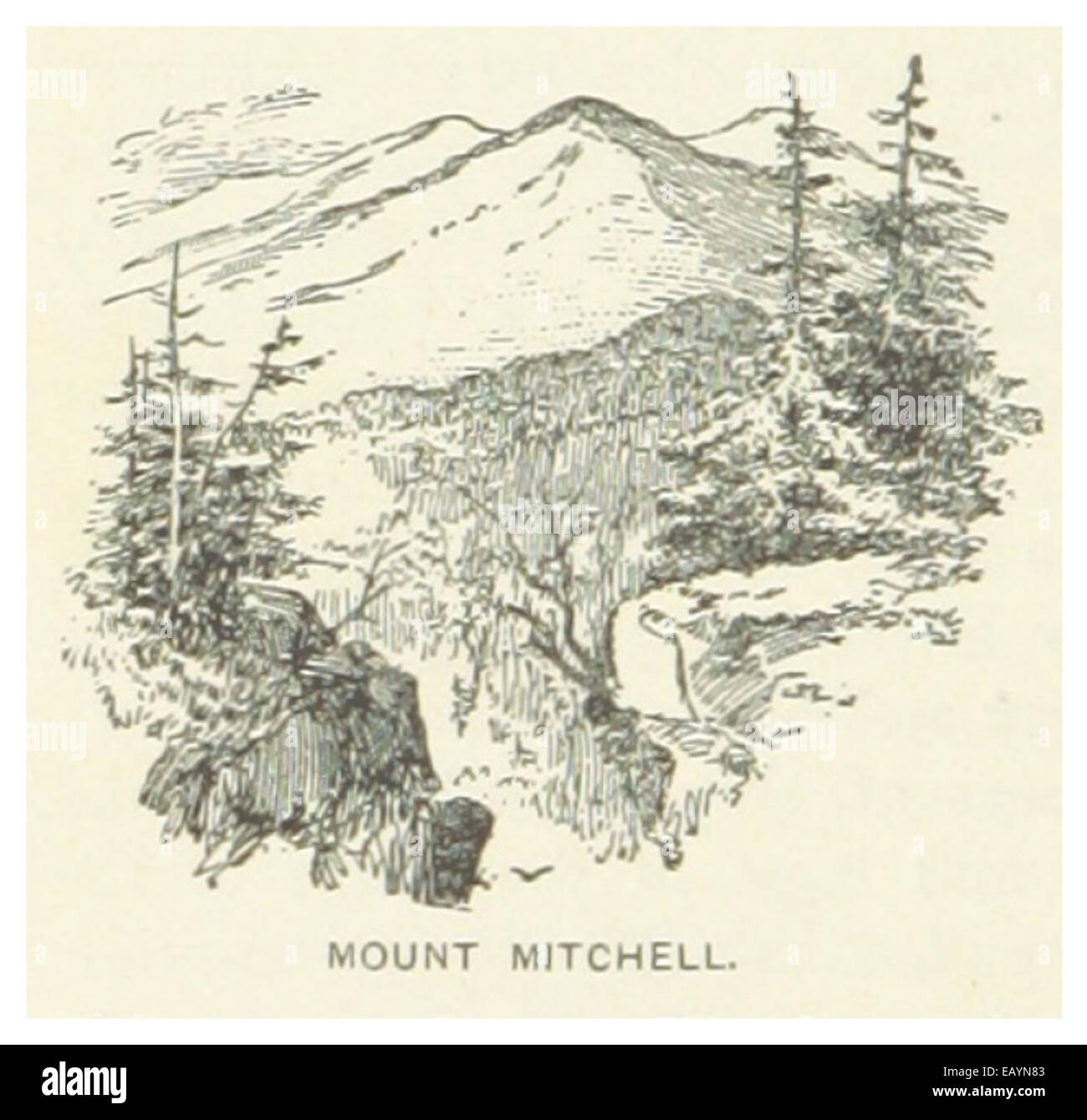 This 1891 depiction shows Mount Mitchell, the highest peak in the ...