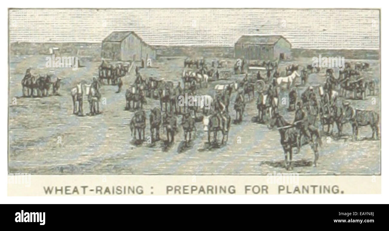 This 1891 illustration depicts wheat-raising preparations in North ...
