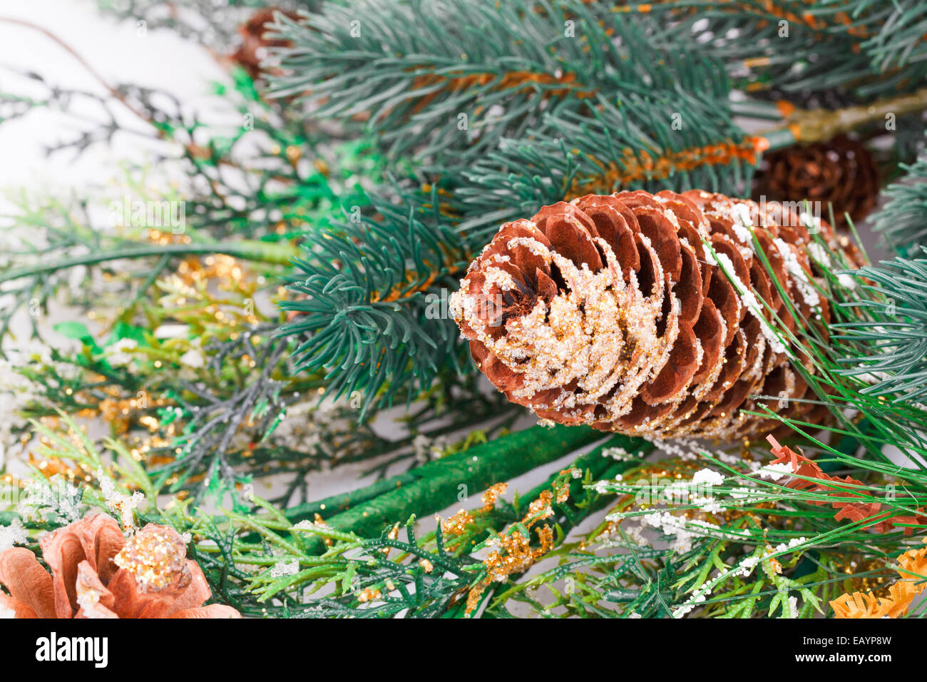 Fir tree branch cone hi-res stock photography and images - Alamy