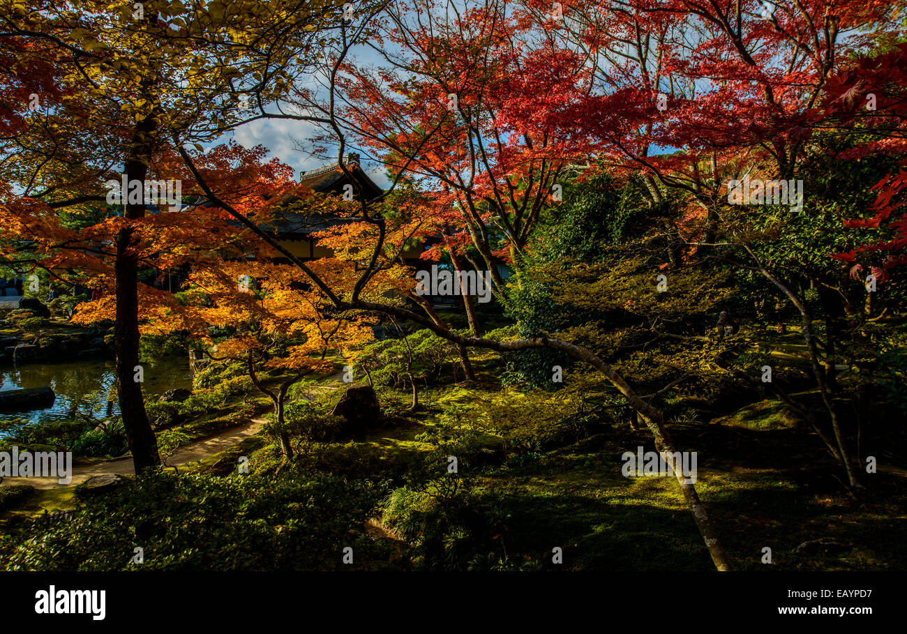 Kyoto temples hi-res stock photography and images - Alamy
