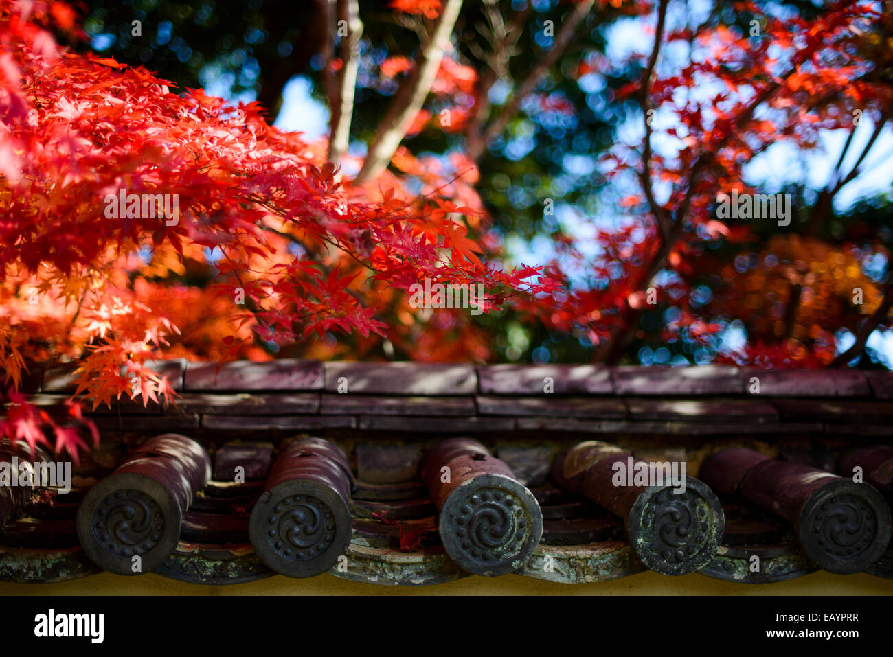 Temples of Kyoto in autumn, Japan Stock Photo - Alamy