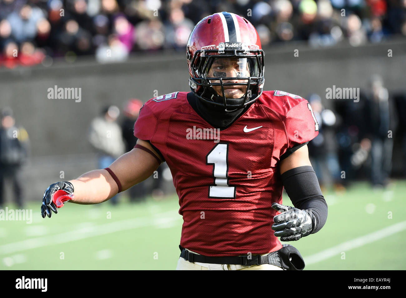 Harvard football action hi-res stock photography and images - Alamy