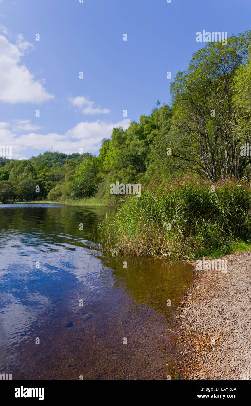 Loch achray summer hi-res stock photography and images - Alamy