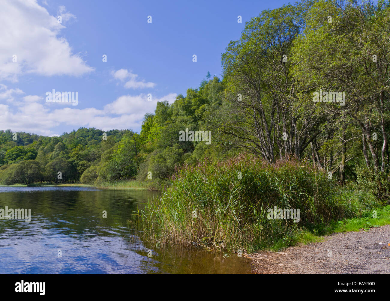 Lochs of the trossachs hi-res stock photography and images - Alamy