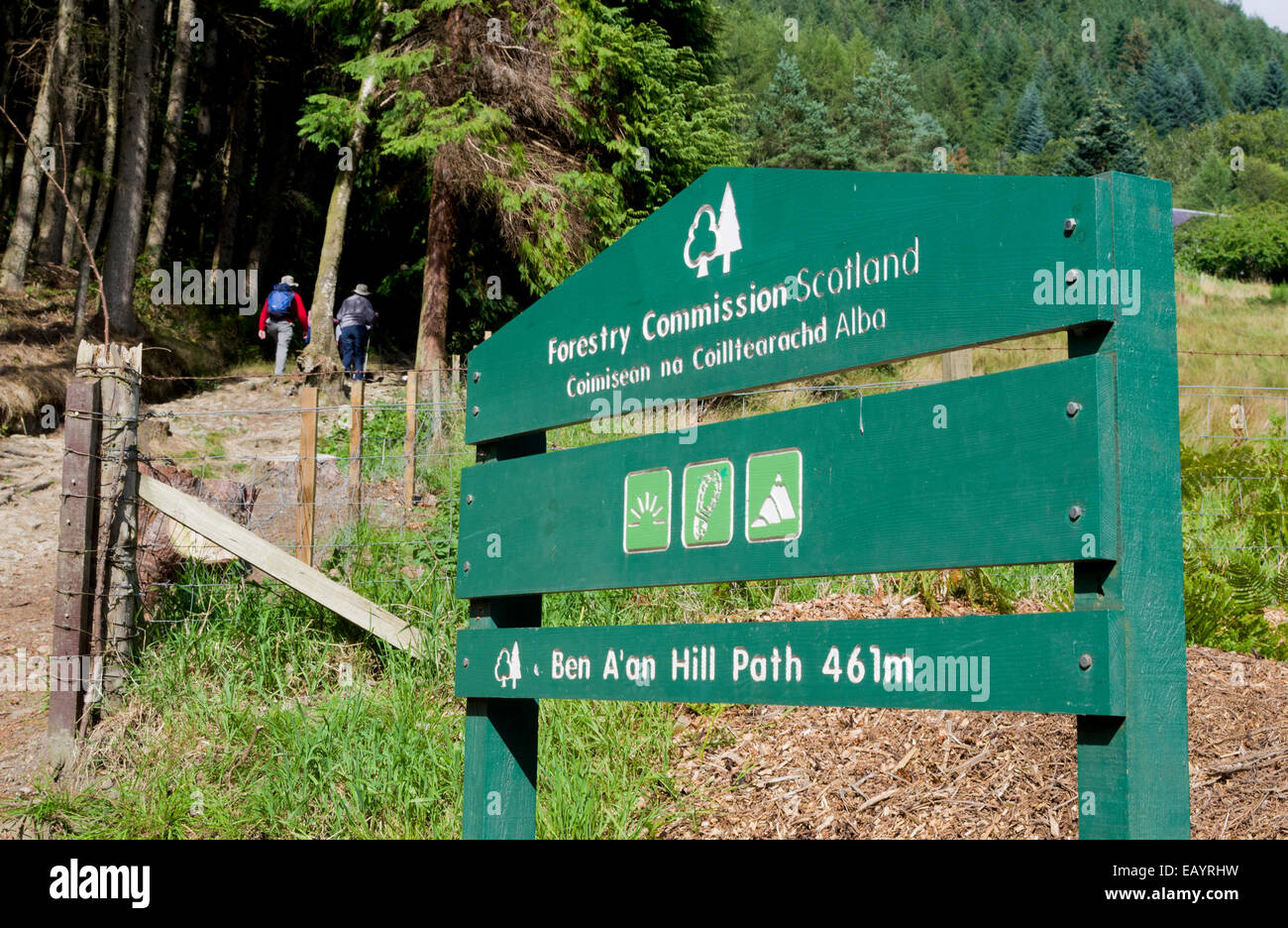 Forestry commission track hi-res stock photography and images - Alamy