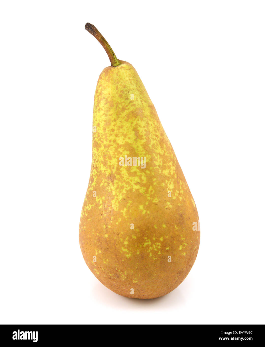 Green Conference pear standing upright, isolated on a white background ...
