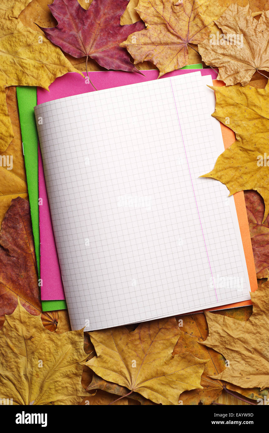 Opened school notebooks on the background of autumn leaves Stock Photo ...