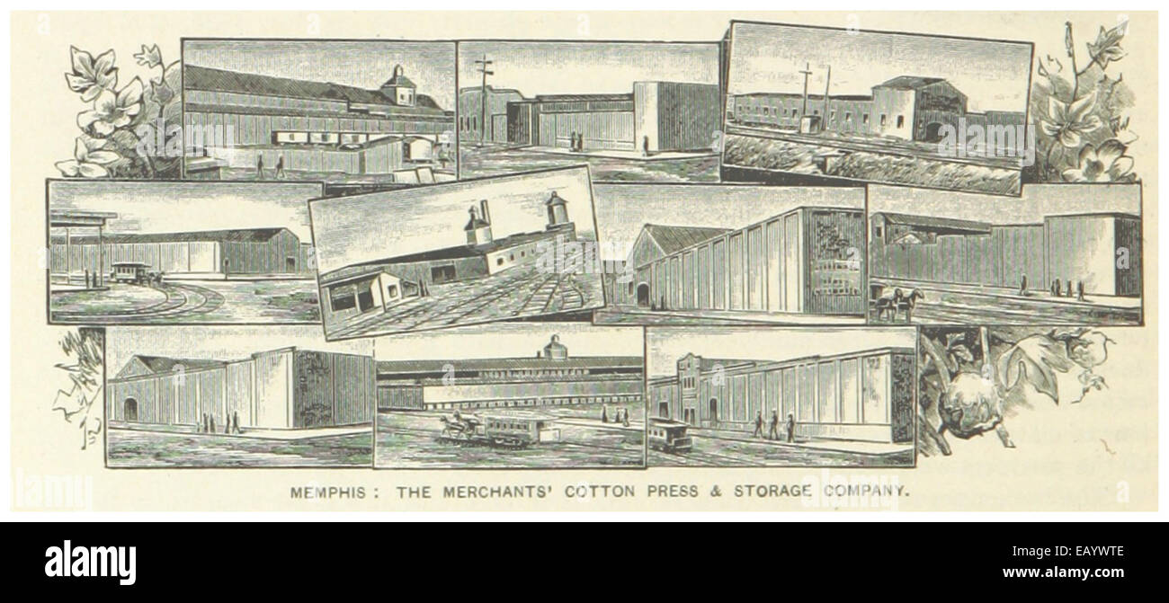 Cotton pressing hi-res stock photography and images - Alamy