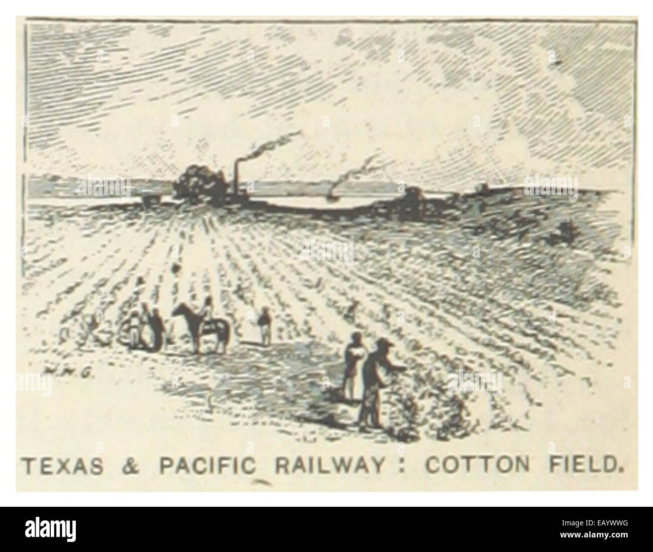 Cotton book cover hi-res stock photography and images - Alamy