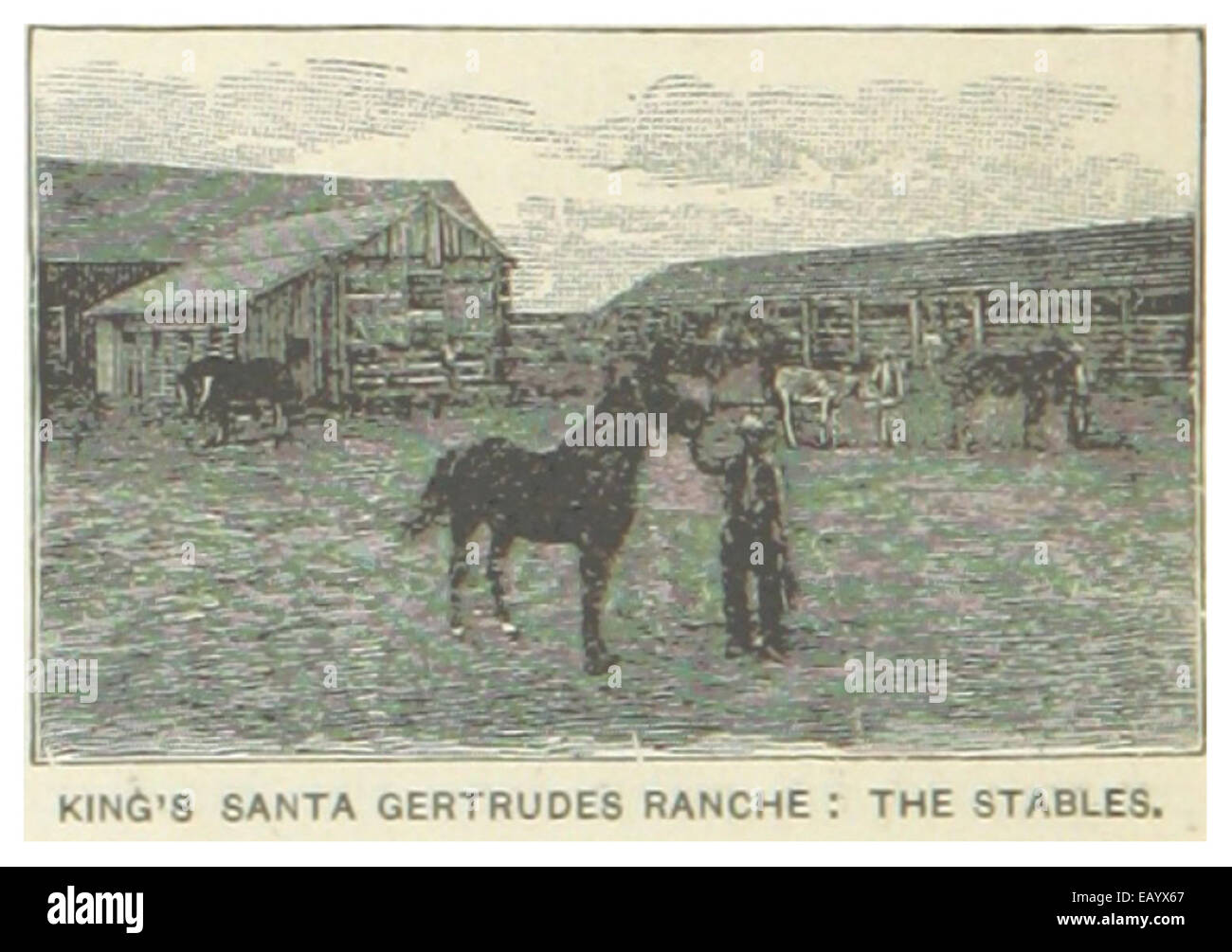 Kings stables hi-res stock photography and images - Alamy