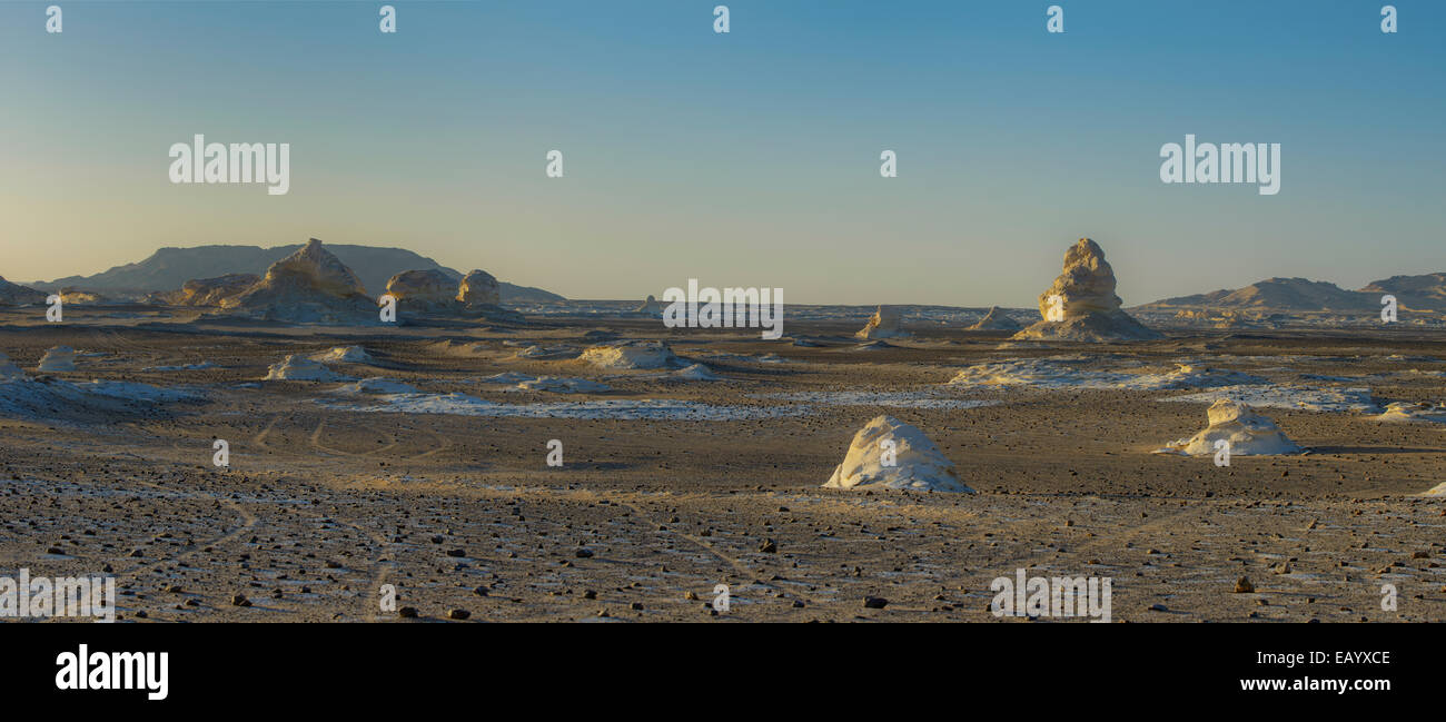 Cretaceous hi-res stock photography and images - Alamy