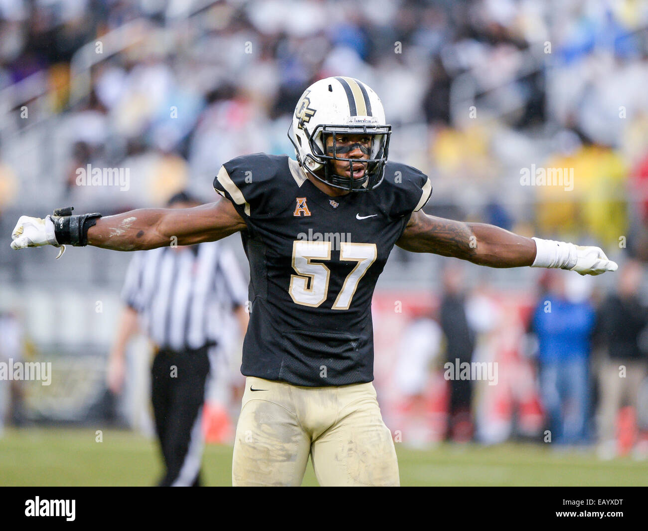 Troy gray hi-res stock photography and images - Alamy