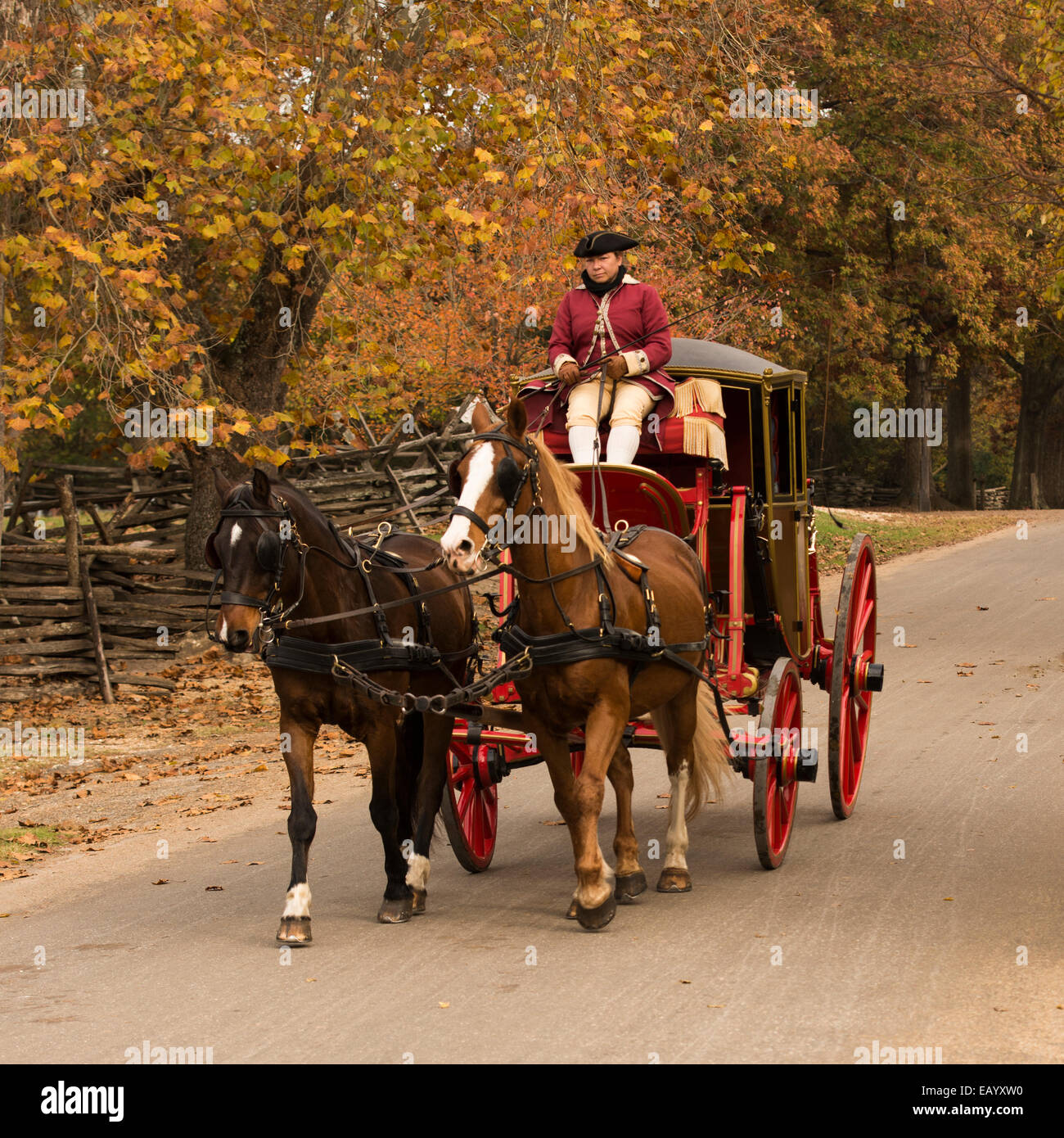 Colonial Carriage driver and two horses in harness Stock Photo - Alamy