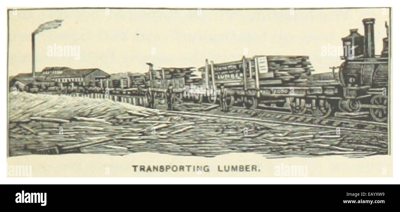 Lumber industry 19th century hi-res stock photography and images - Alamy