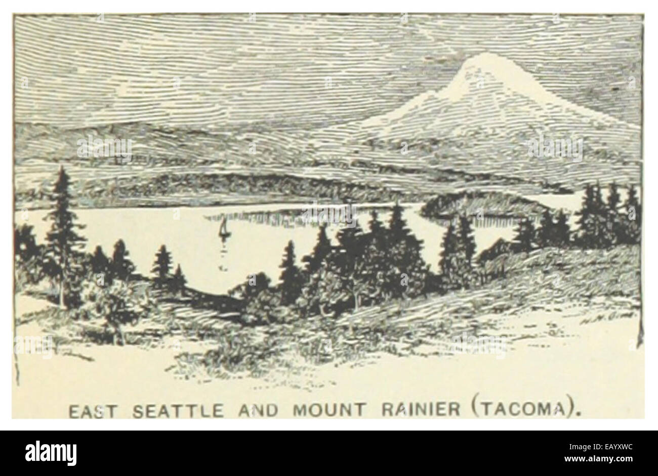 An 1891 illustration of Mount Rainier, as seen from Tacoma, Washington ...