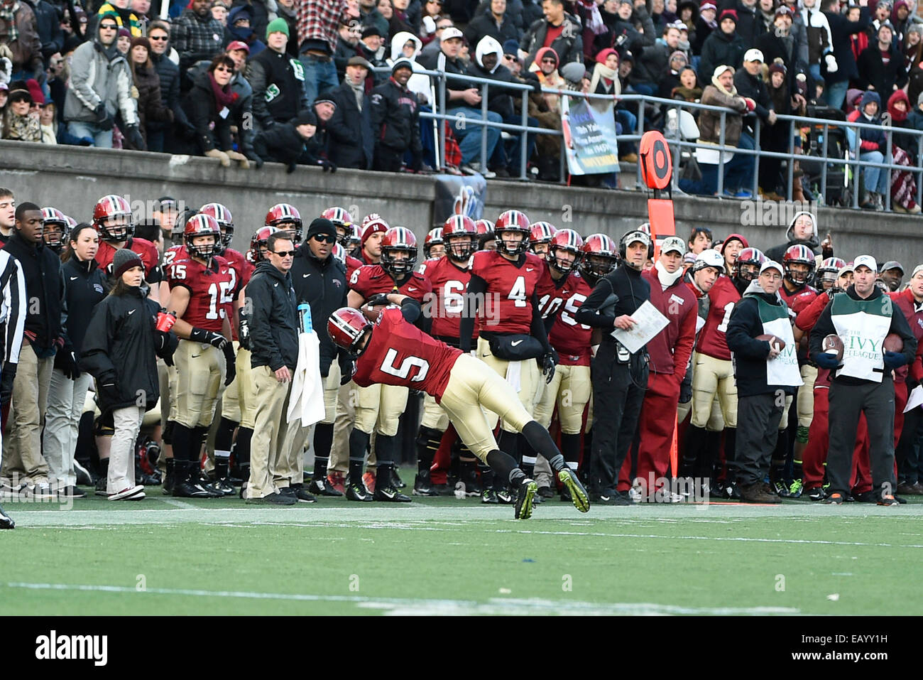 Harvard football 2014 hi-res stock photography and images - Alamy