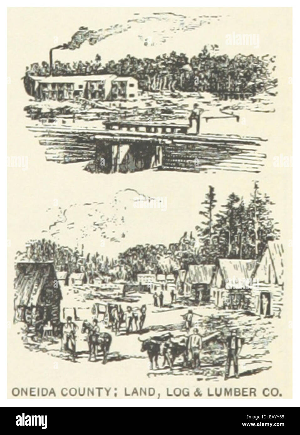 An 1891 illustration of Oneida County, Wisconsin, capturing its rural ...