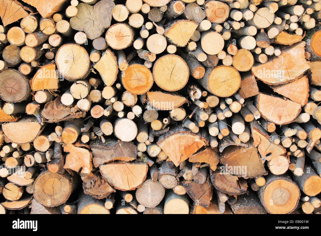 tree stumps background Stock Photo - Alamy