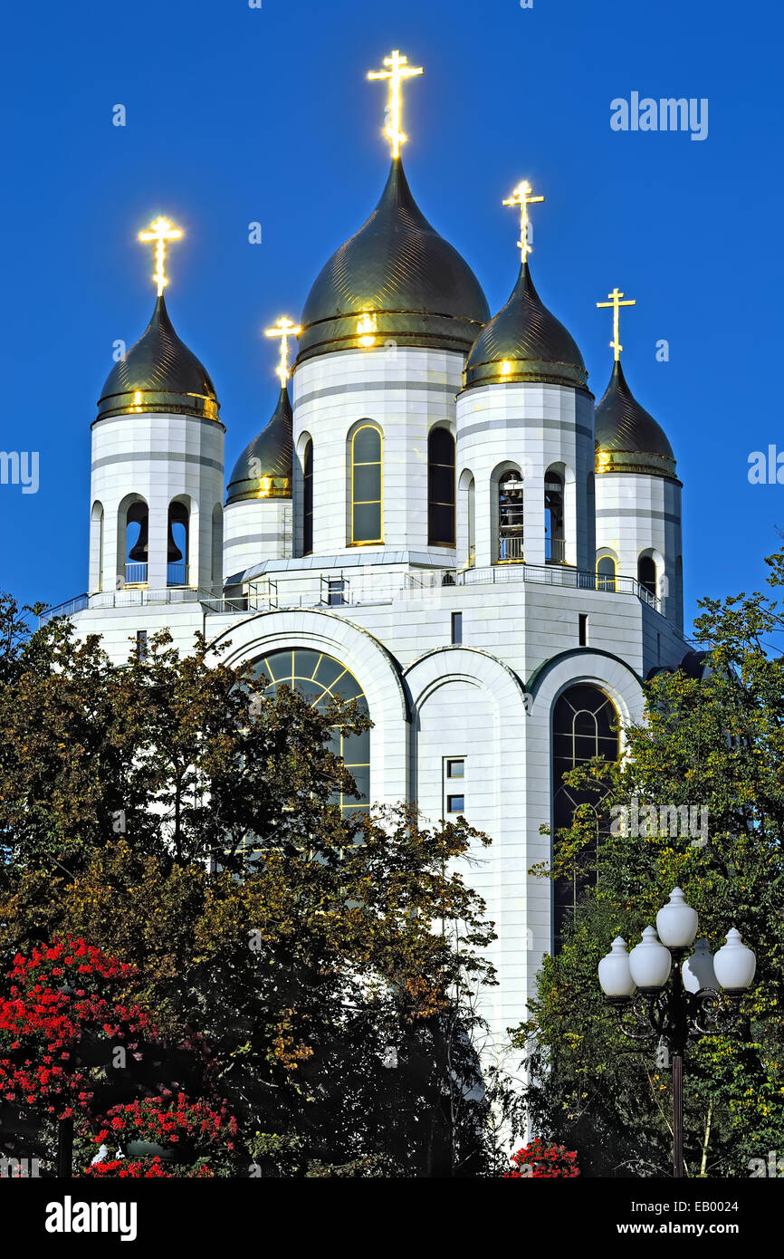 Domes of Cathedral of Christ the Saviour. Kaliningrad (former ...