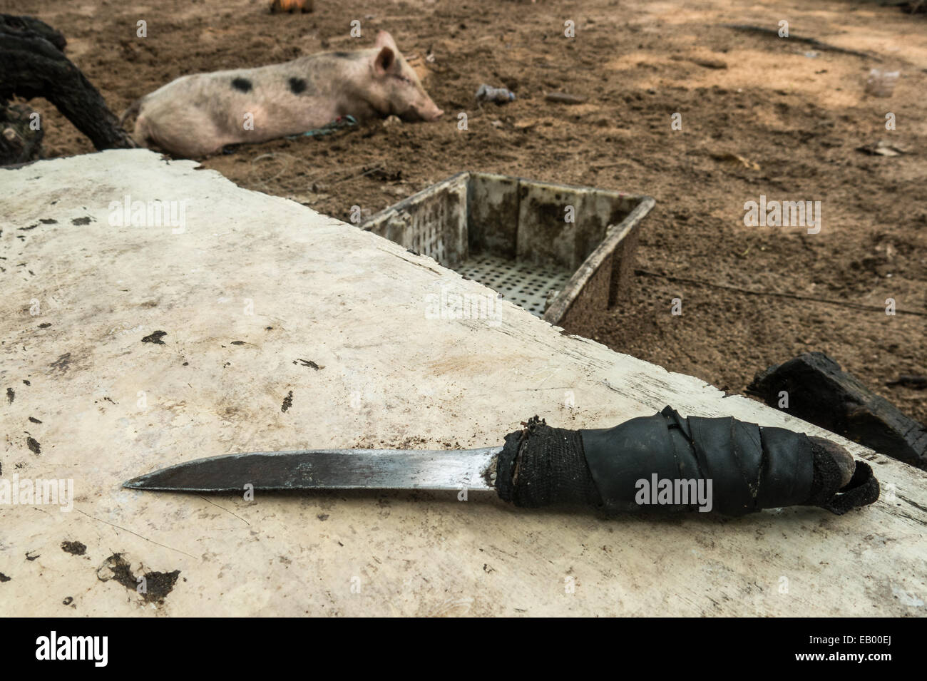 Castration hi-res stock photography and images - Alamy