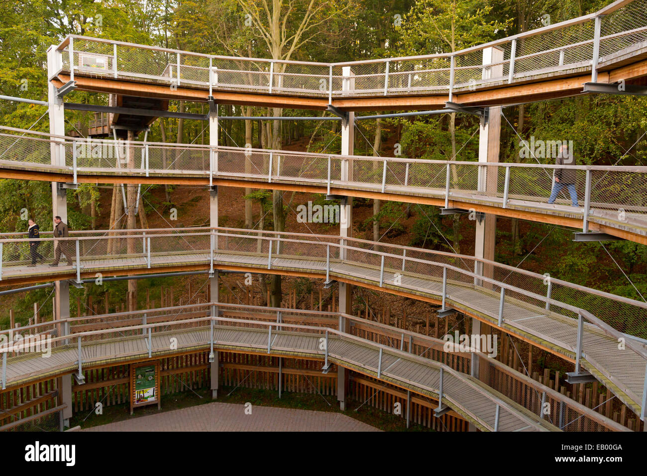 Tree top path hi-res stock photography and images - Alamy