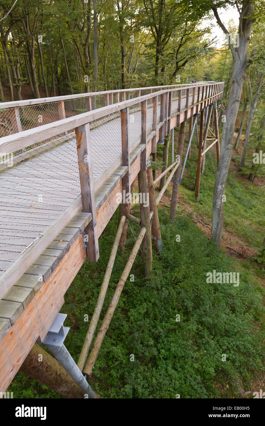Tree top path hi-res stock photography and images - Alamy