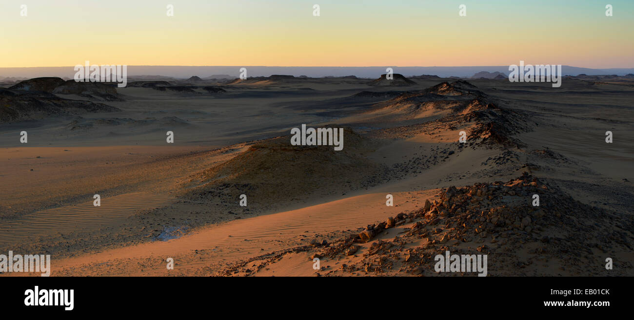 Sahara at sunset, Egypt Stock Photo - Alamy