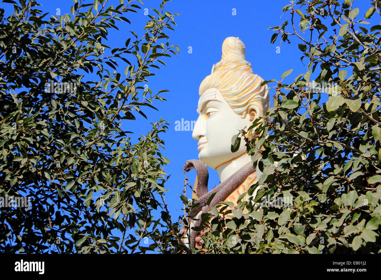 Side view of face of Lord Shiva behind foliage at Naganatha ...