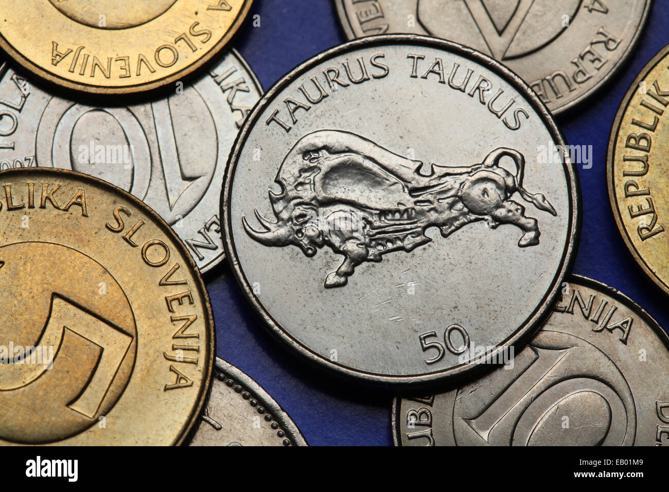 Coins of Slovenia. Bull (Taurus taurus) depicted on the Slovenian 50 ...