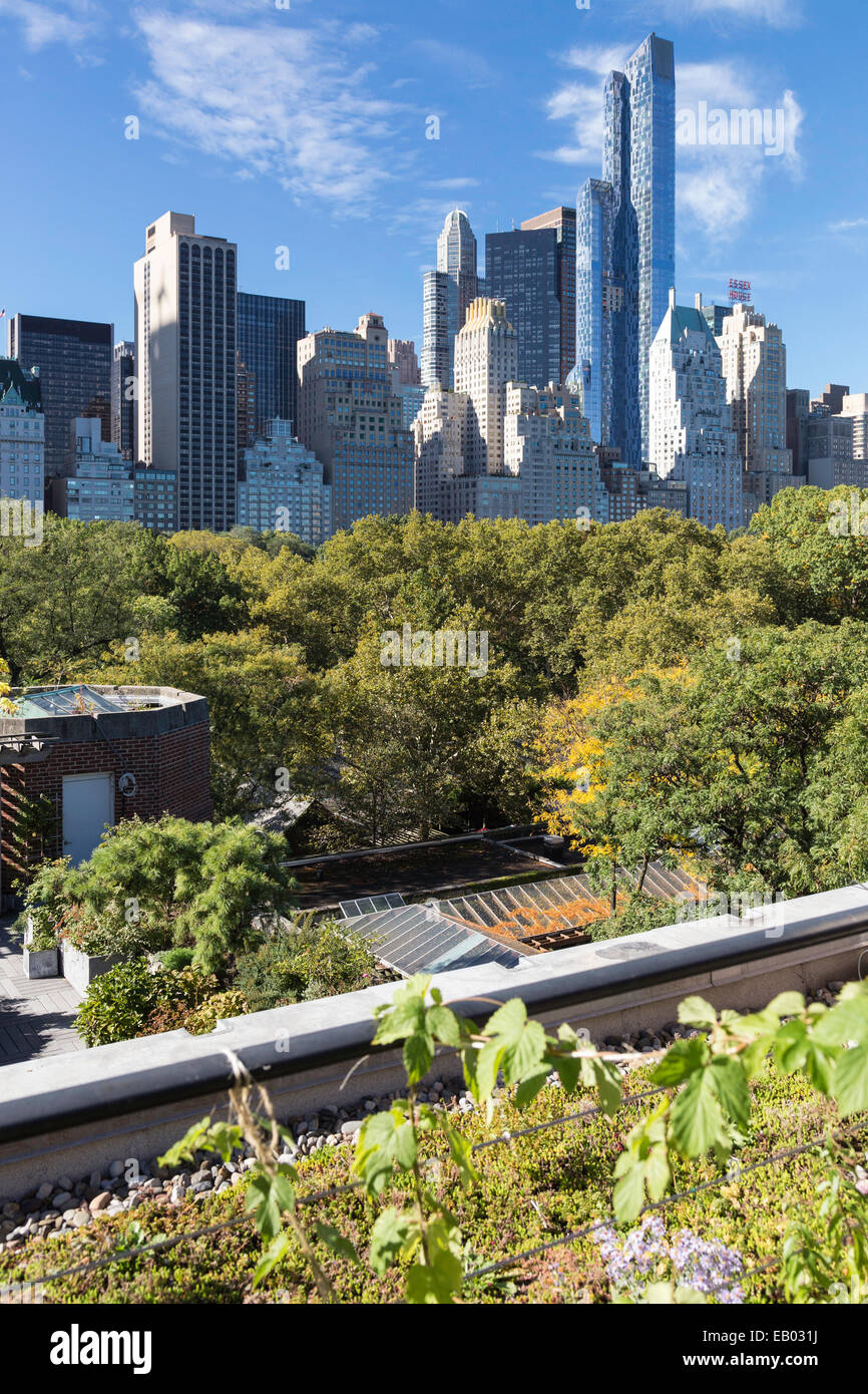 Manhattan Skyline from Central Park, NYC, USA Stock Photo - Alamy