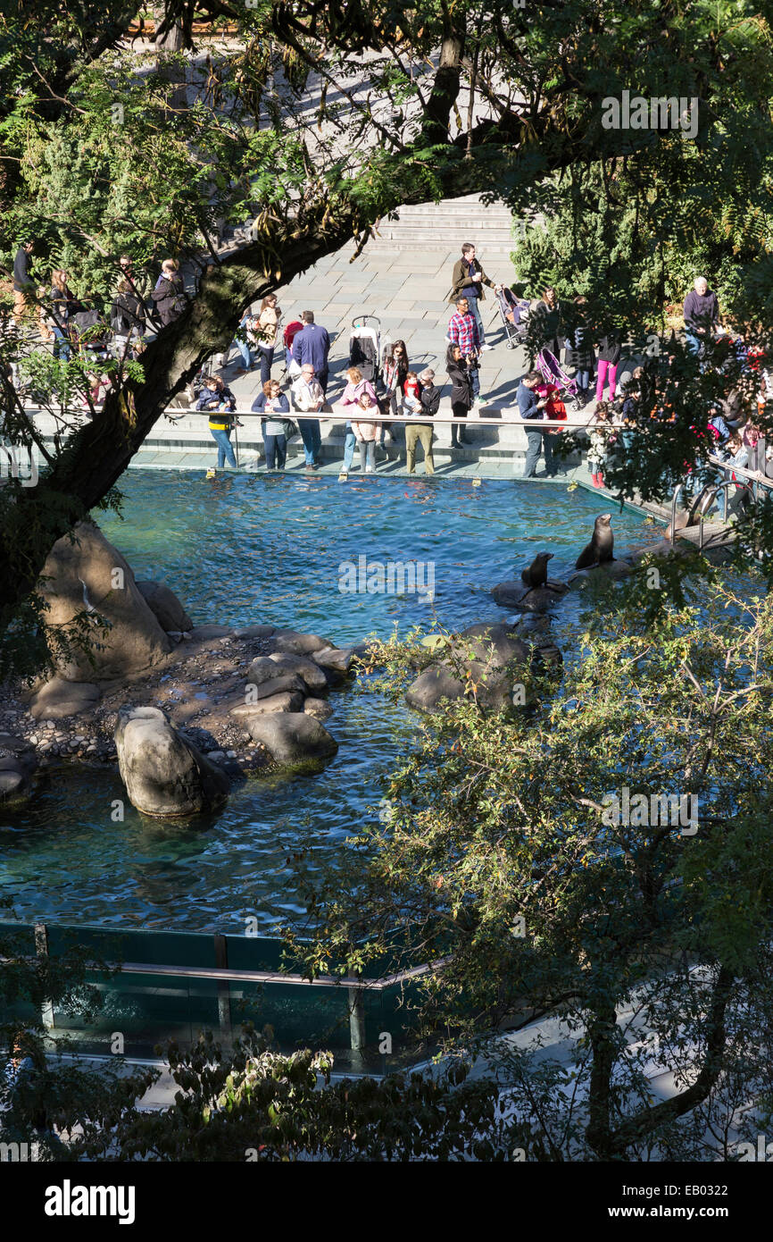 Sea Lion Pool in Central Park, NYC, USA Stock Photo - Alamy