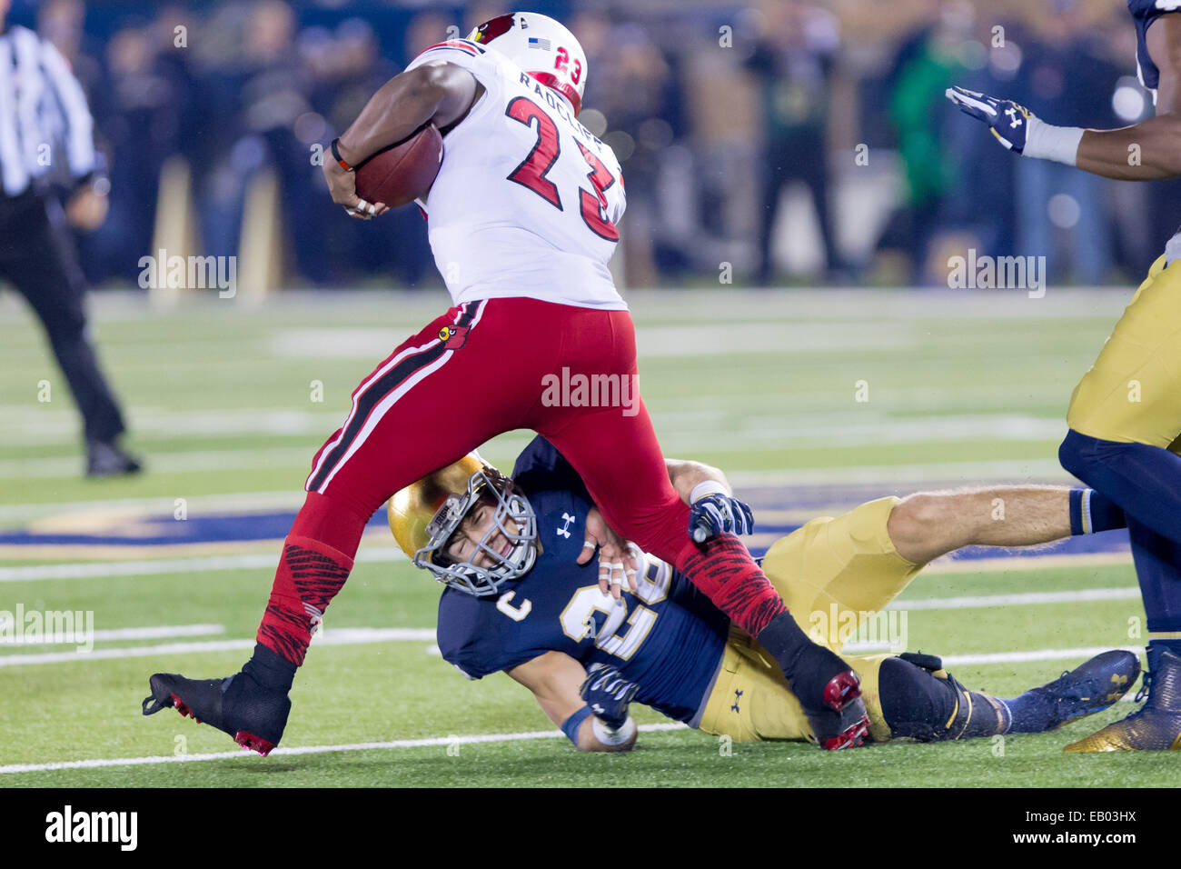 South Bend, Indiana, USA. 22nd Nov, 2014. Louisville RB BRANDON ...