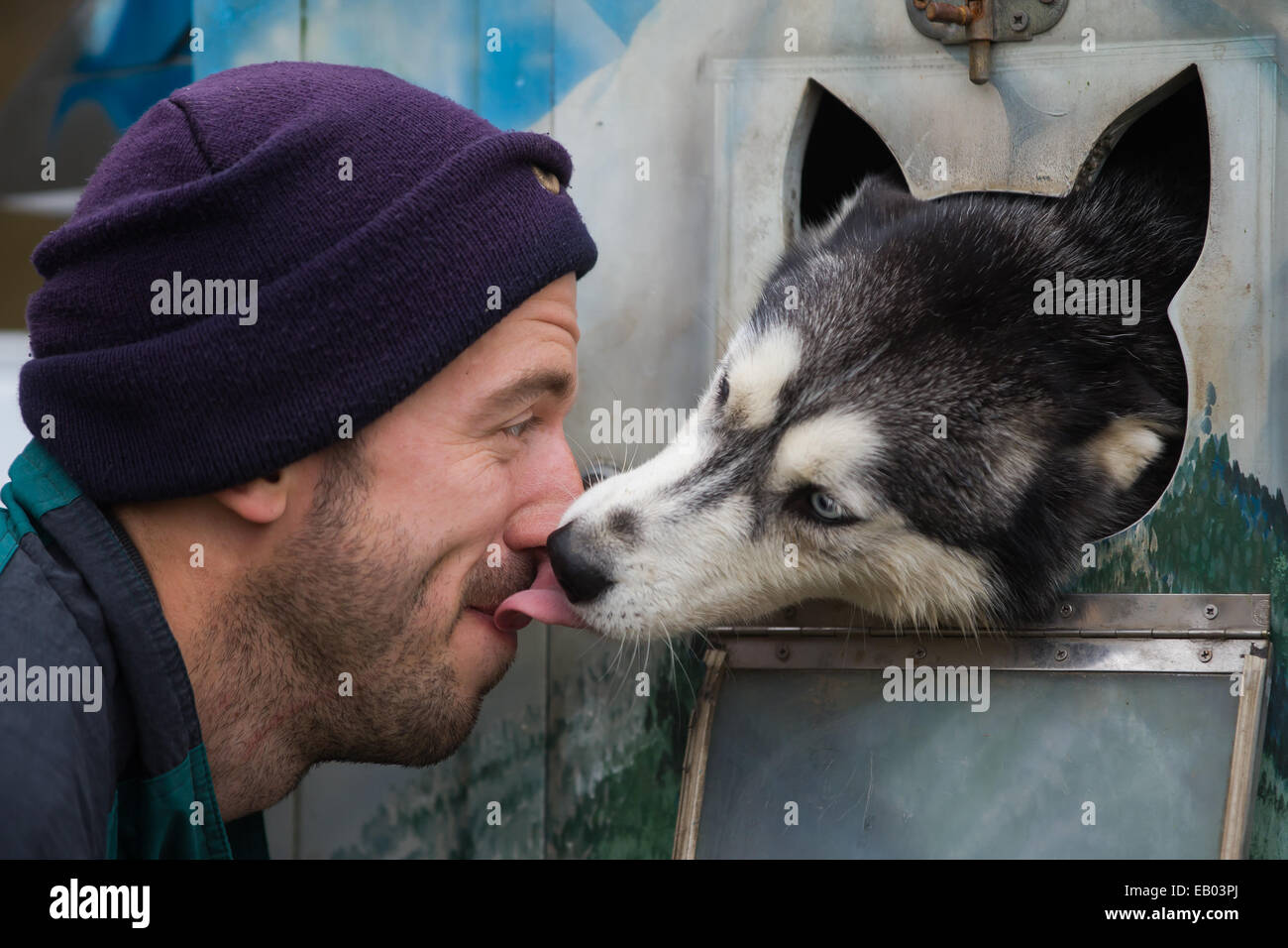 Venek. 22nd Nov, 2014. A dog licks the face of its owner during the ...