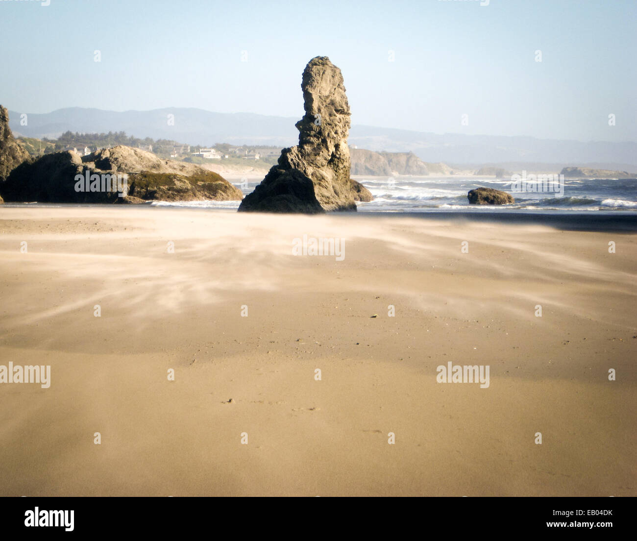 A rock stands against the wind on the beach in Oregon Stock Photo - Alamy