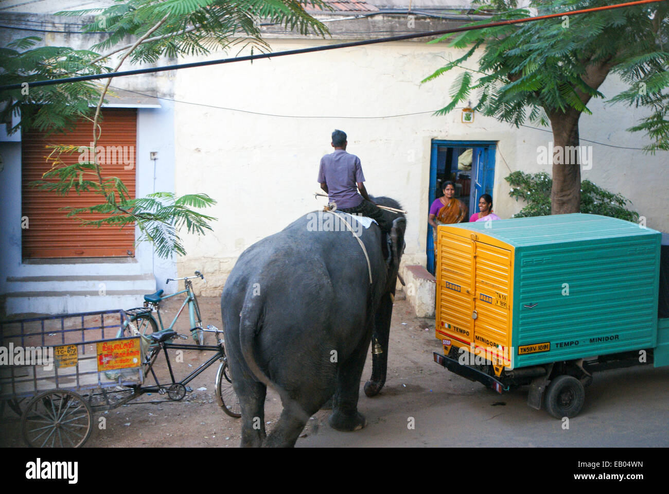 January 28, 2009. Madurai, India. An elephant and rider stop by a door ...
