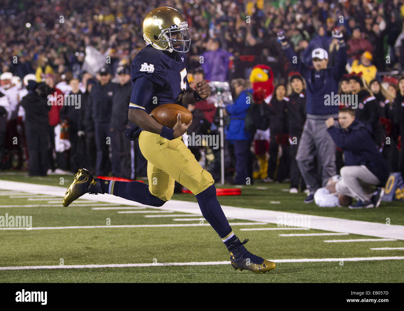 South Bend, Indiana, USA. 22nd Nov, 2014. Notre Dame quarterback ...