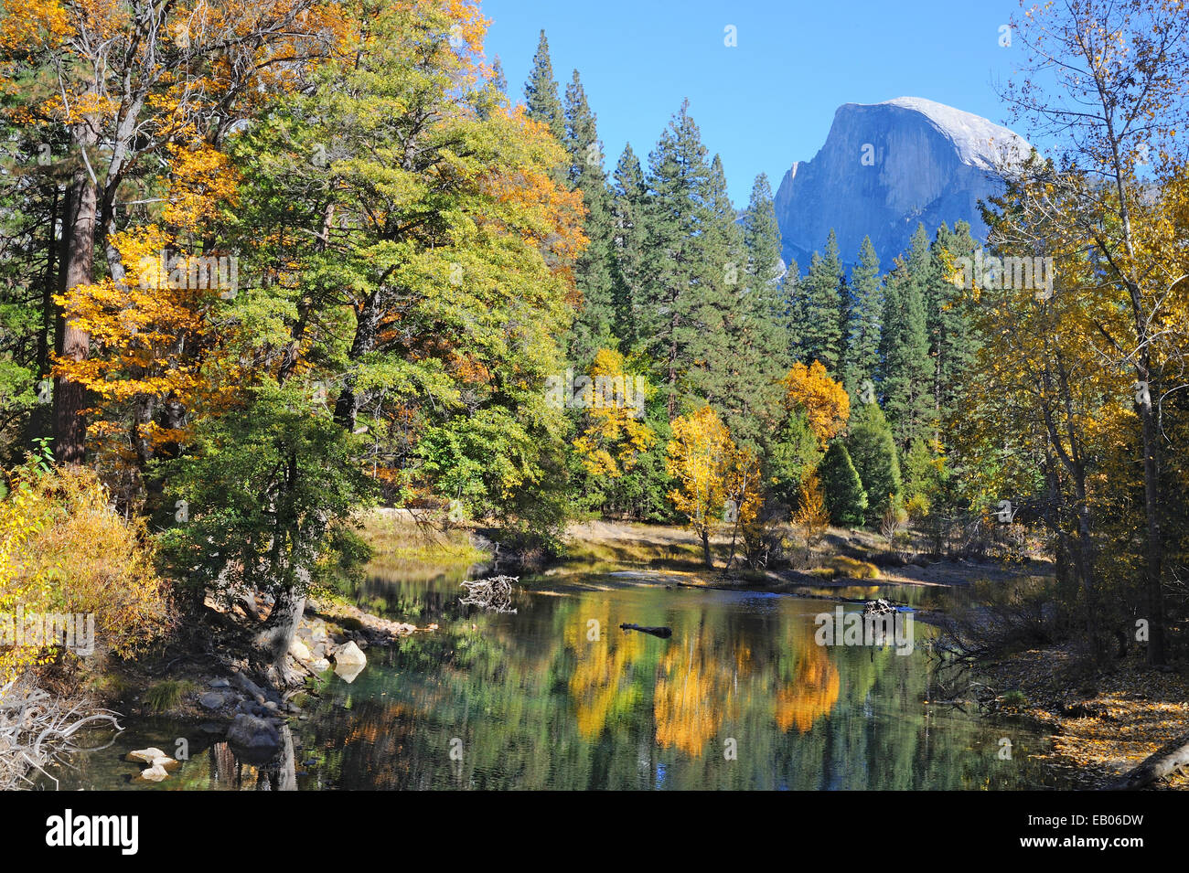 Pine trees and fall foliage surround Half Dome and reflect in the ...